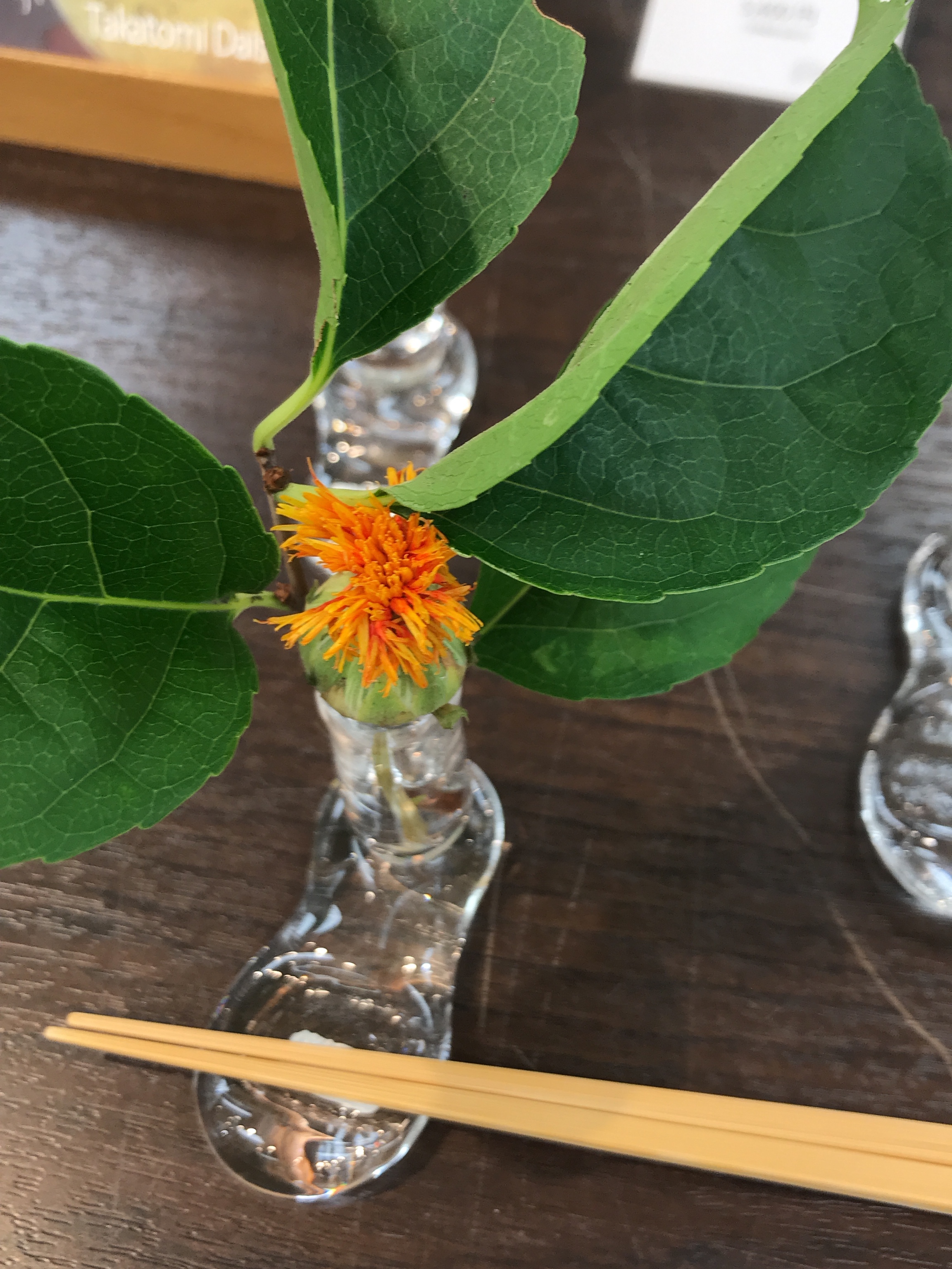 glass cafe gla_gla｜gla_gla